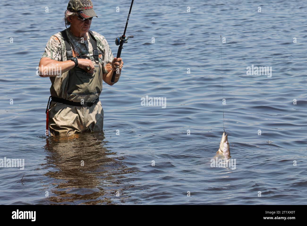 Fishing. One of a series of photos of fishermen catching northern pike ...
