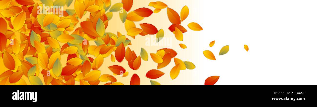 Autumn abstract banner design with colorful leaves. Vector natural ...