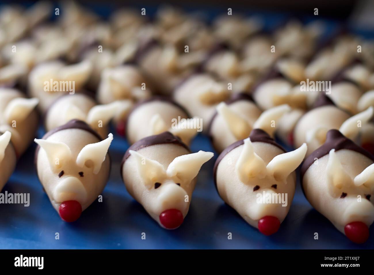 Multiple choclate dipped pigs made of marsipan with an apple in their ...