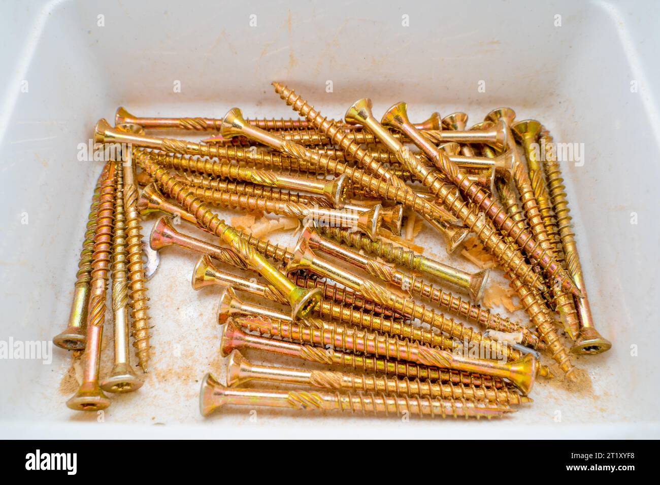 Spax structural screw, reinforced for wooden structures, close-up in a ...