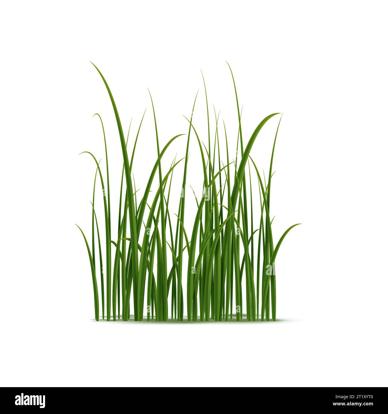 Lush ground cover Stock Vector Images - Alamy