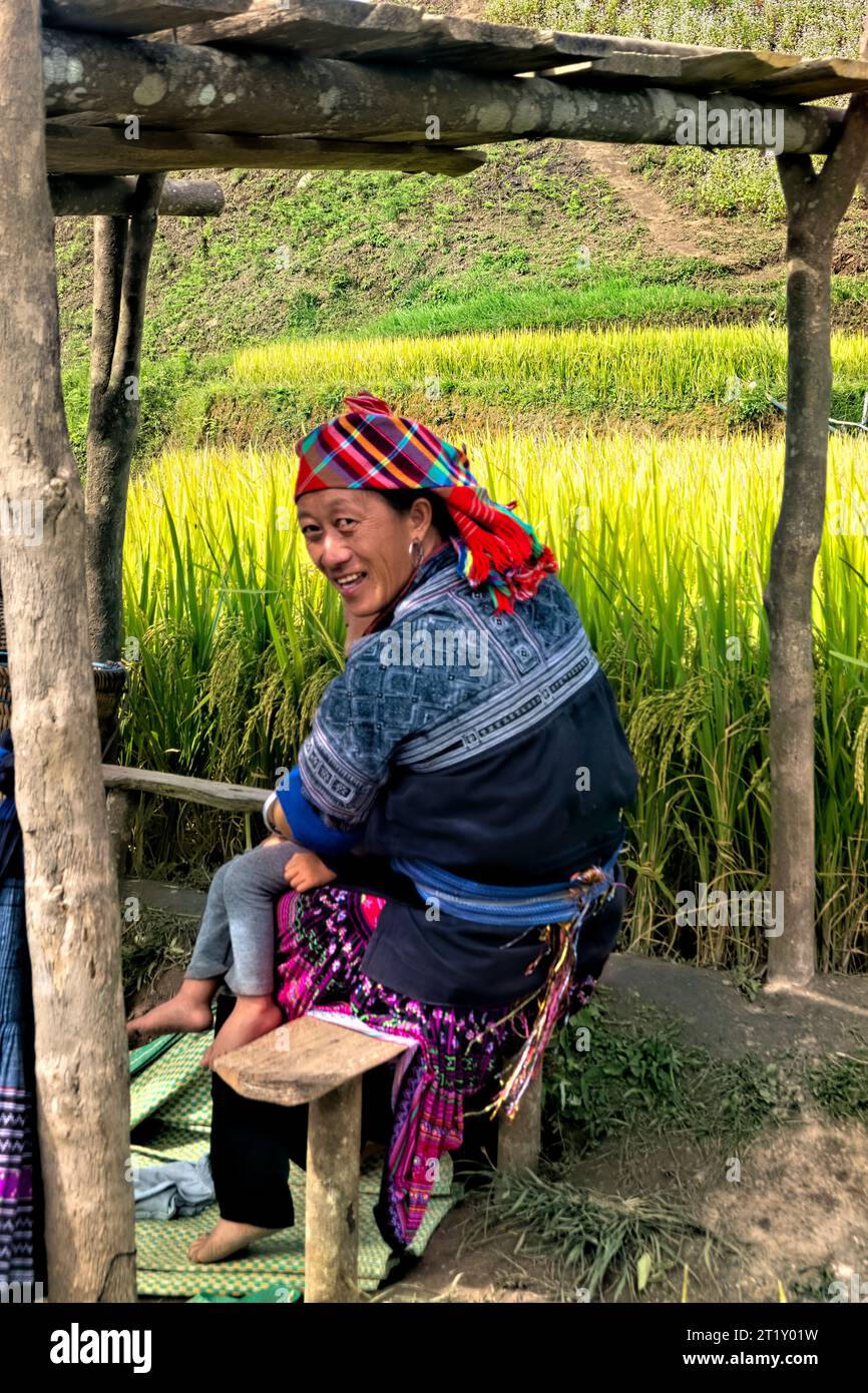 Flower Hmong woman, Mu Cang Chai, Yen Bai, Vietnam Stock Photo - Alamy