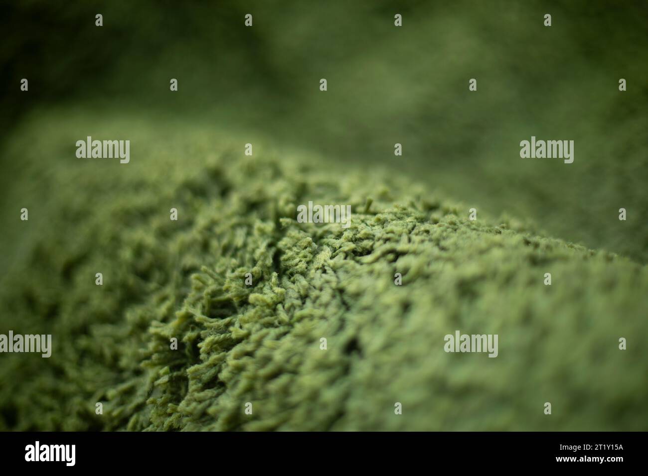Carpet pile. Green carpet. Fabric texture. Wet Material Stock Photo - Alamy