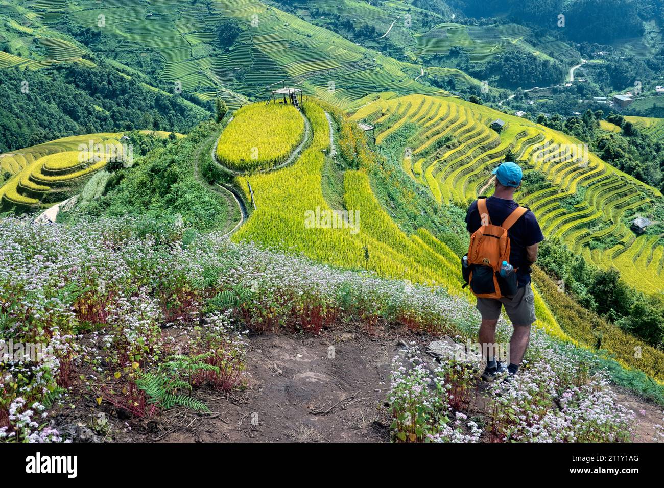 Overlooking the amazing rice terraces of Mu Cang Chai, Yen Bai, Vietnam ...