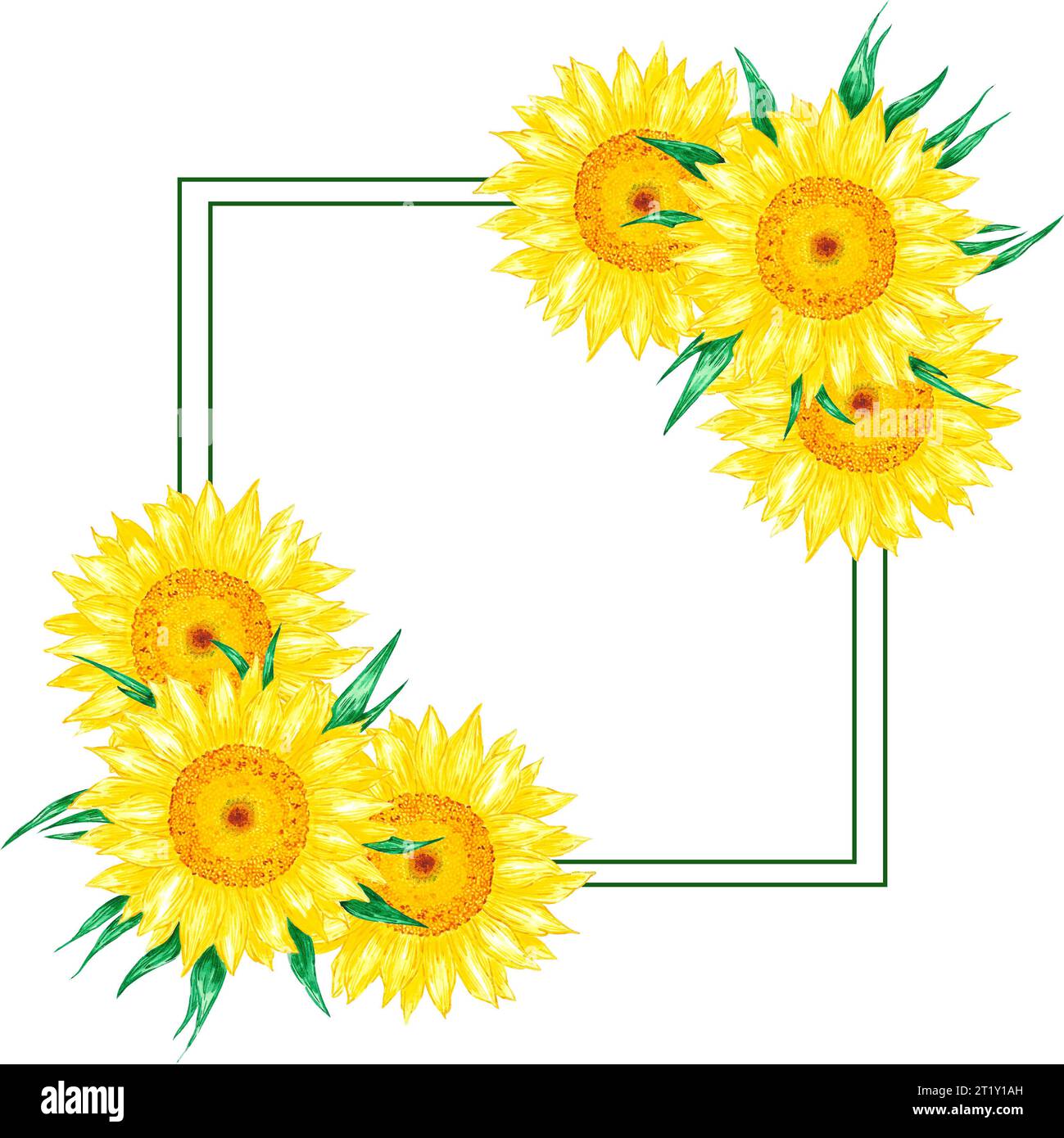 Hand drawn watercolor yellow sunflower border frame isolated on white ...