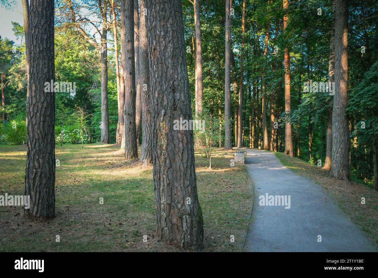 Walkway pathway in public park. Trail track in natural park for ...