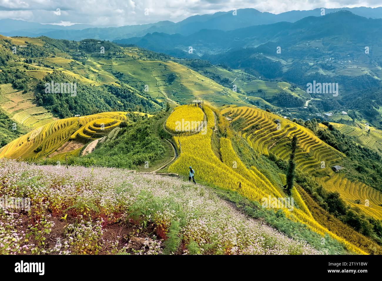 Overlooking the amazing rice terraces of Mu Cang Chai, Yen Bai, Vietnam ...
