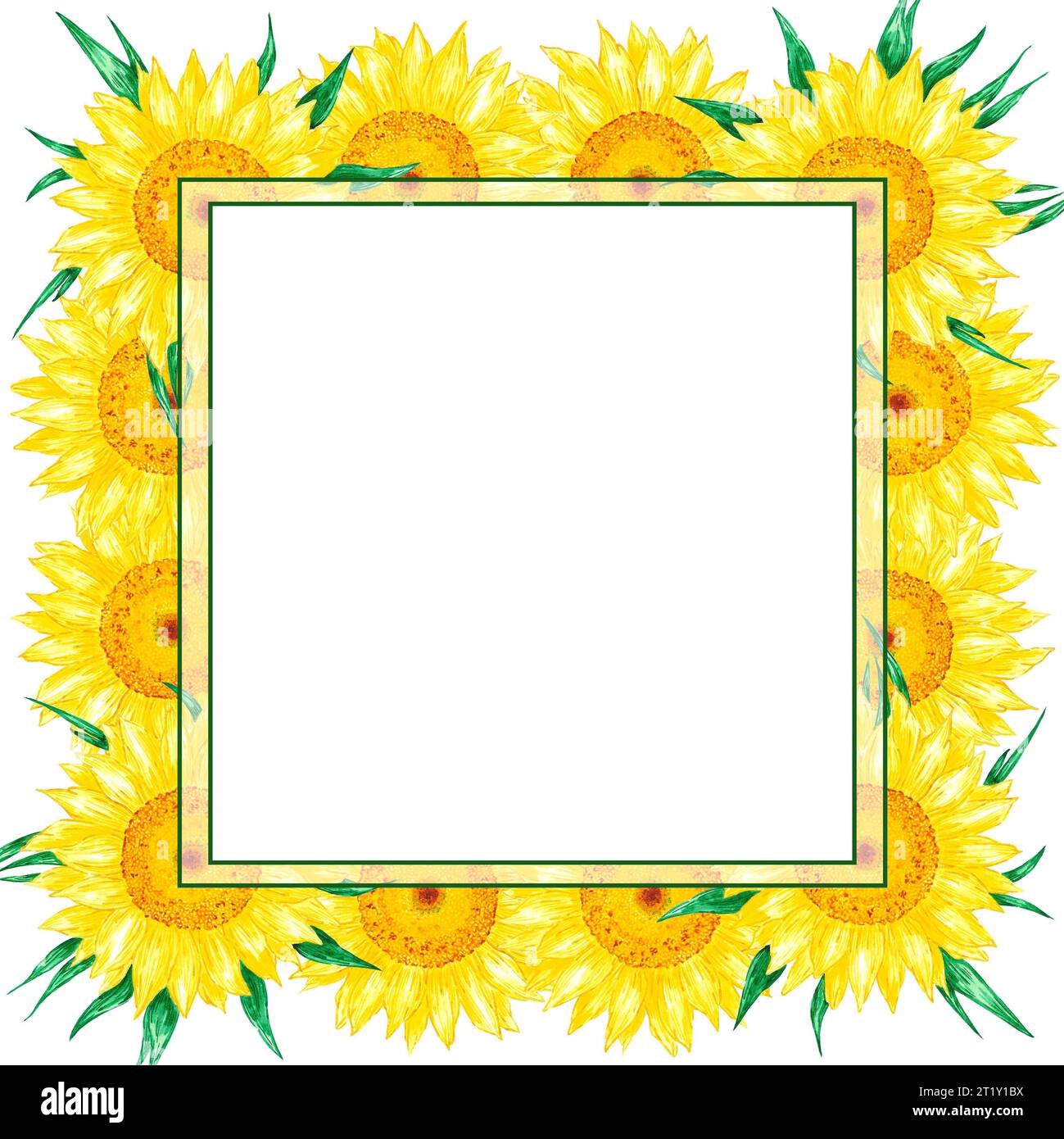 Hand drawn watercolor yellow sunflower border frame isolated on white ...
