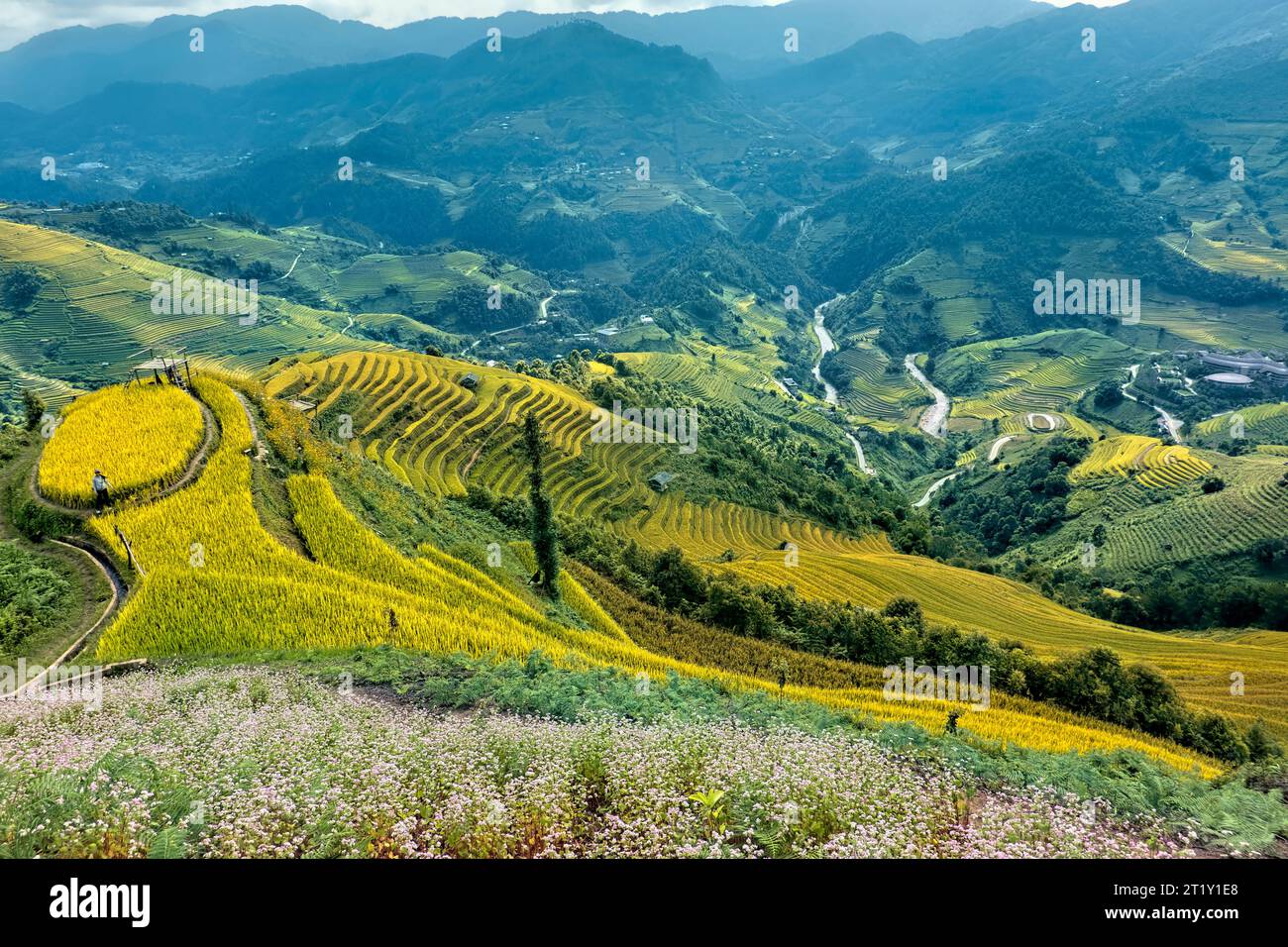 Overlooking the amazing rice terraces of Mu Cang Chai, Yen Bai, Vietnam ...