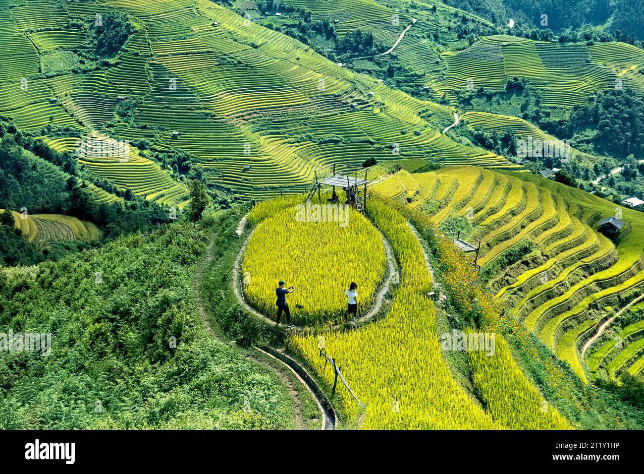 Overlooking the amazing rice terraces of Mu Cang Chai, Yen Bai, Vietnam ...
