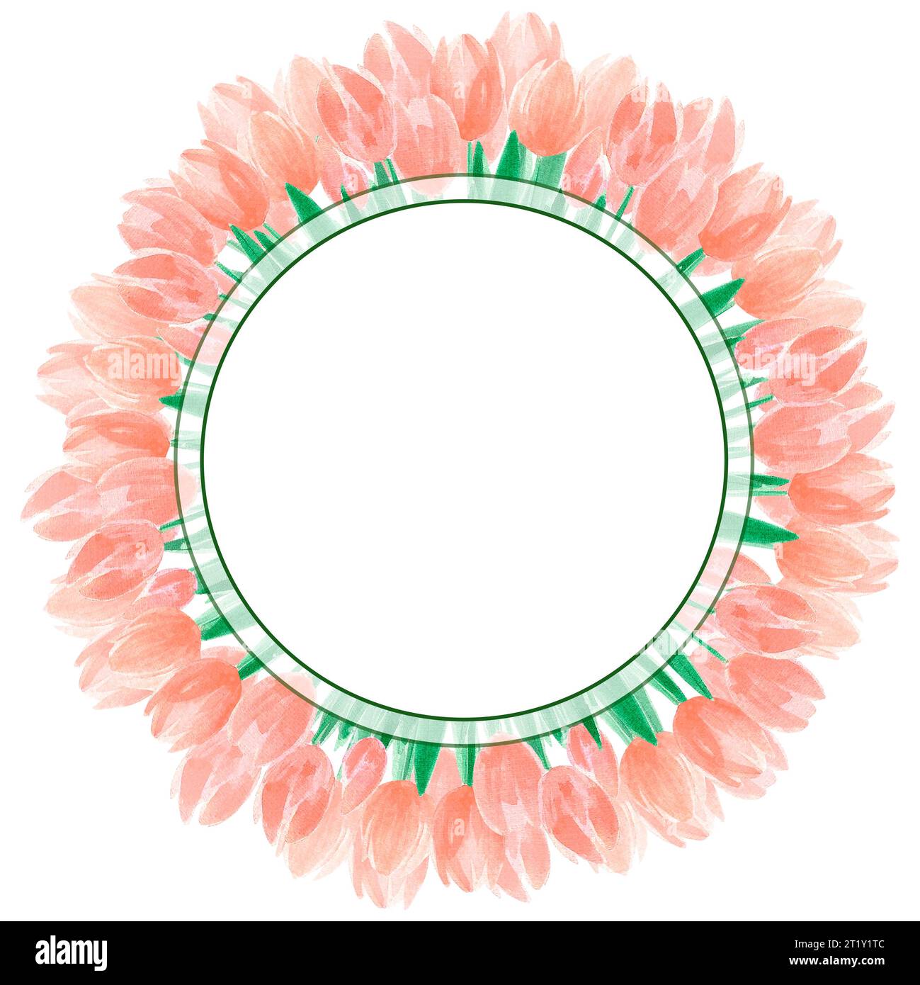 Hand drawn watercolor cream tulips bouquet frame on white background ...