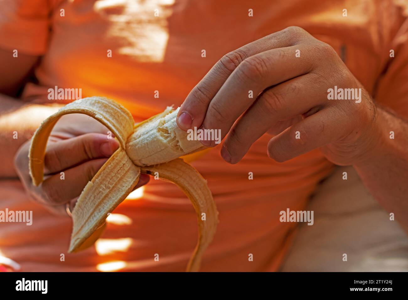 male hands breaking off pieces of banana before eating Stock Photo - Alamy