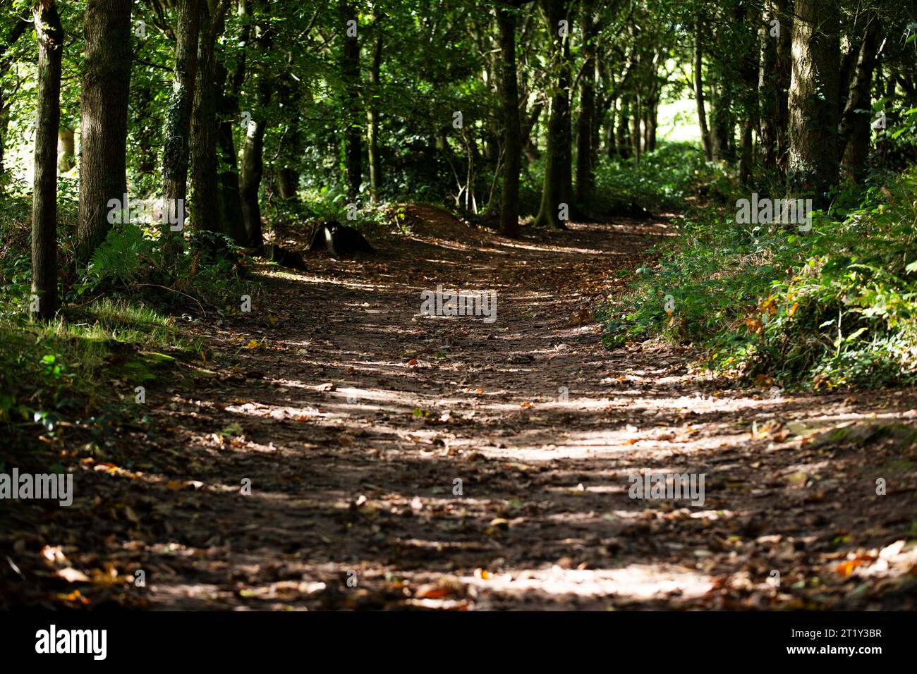 Beautiful national trust hi-res stock photography and images - Alamy