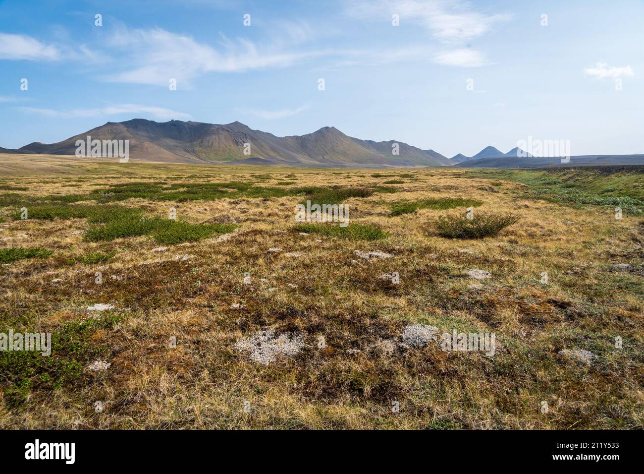 The Famous Route 1 or the Ring Road in Iceland Stock Photo - Alamy