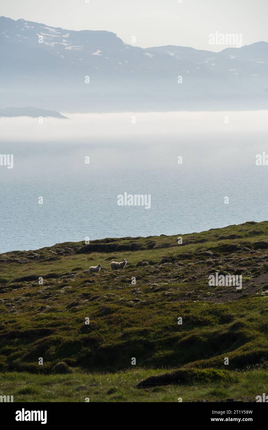 The Famous Route 1 or the Ring Road in Iceland Stock Photo - Alamy