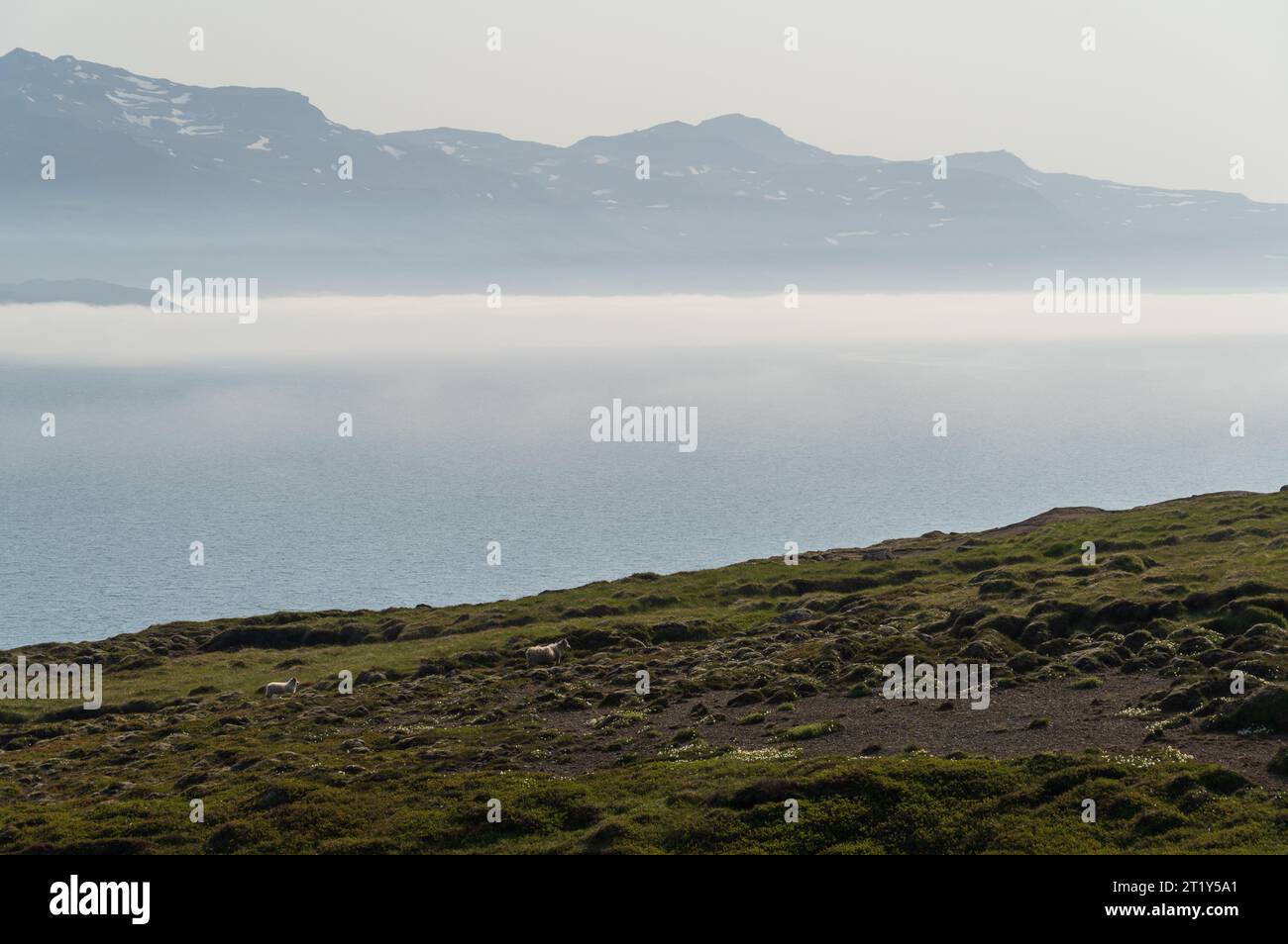 The Famous Route 1 or the Ring Road in Iceland Stock Photo - Alamy