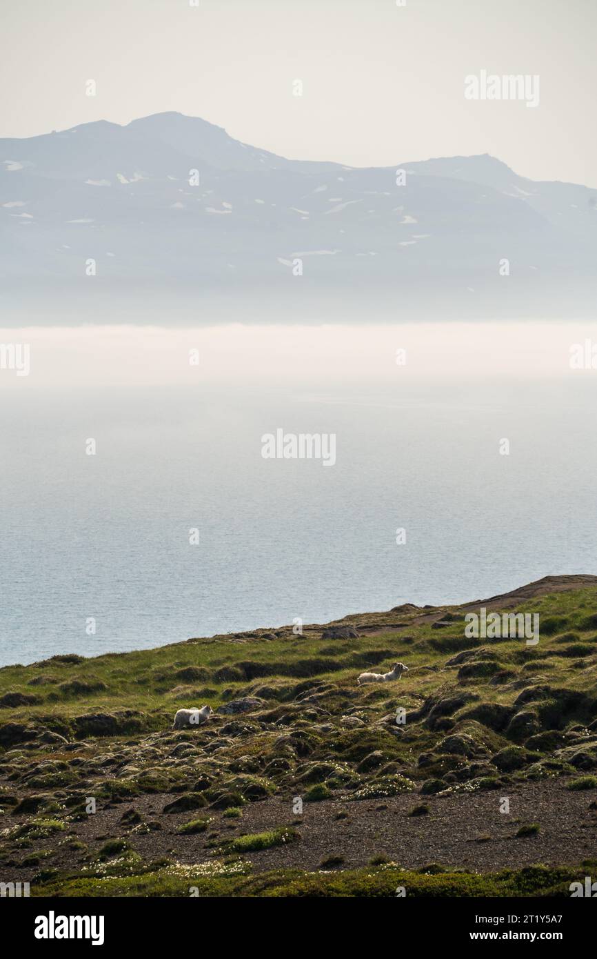 The Famous Route 1 or the Ring Road in Iceland Stock Photo - Alamy