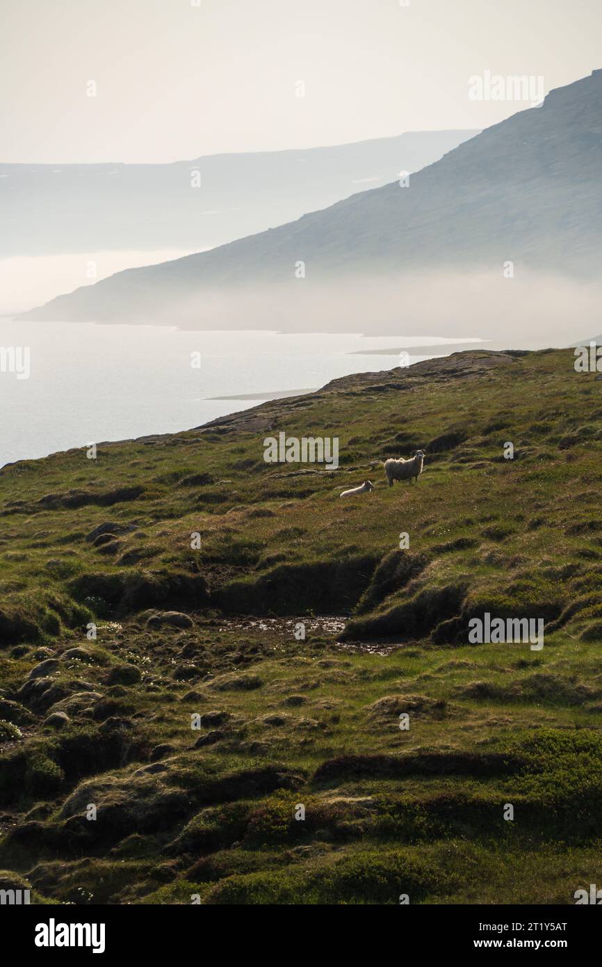 The Famous Route 1 or the Ring Road in Iceland Stock Photo - Alamy