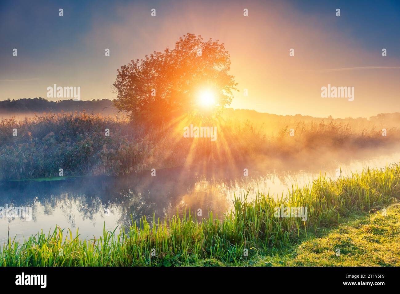 Fantastic foggy river with fresh green grass in the sunlight. Sun beams ...