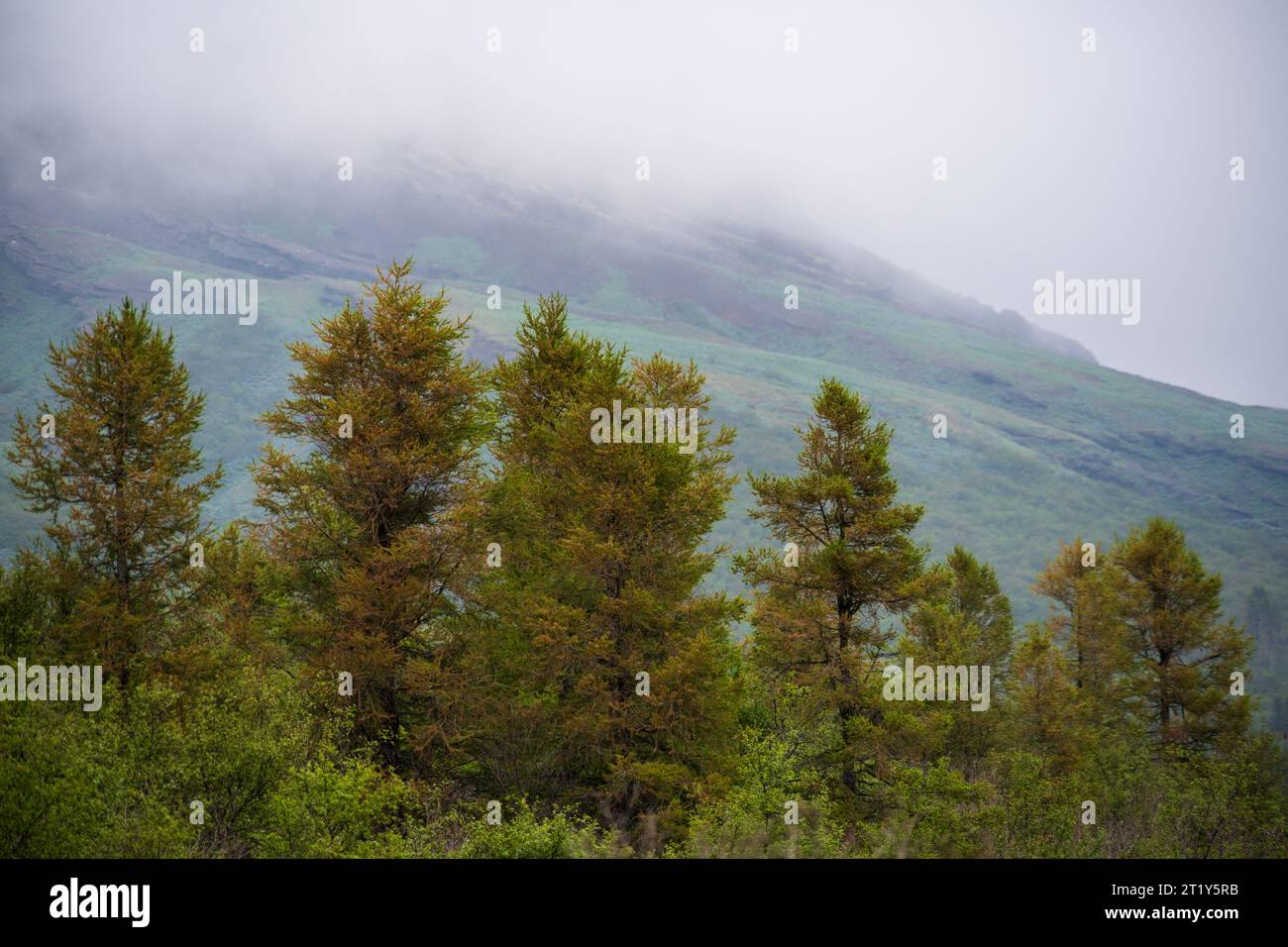 The Famous Route 1 or the Ring Road in Iceland Stock Photo - Alamy