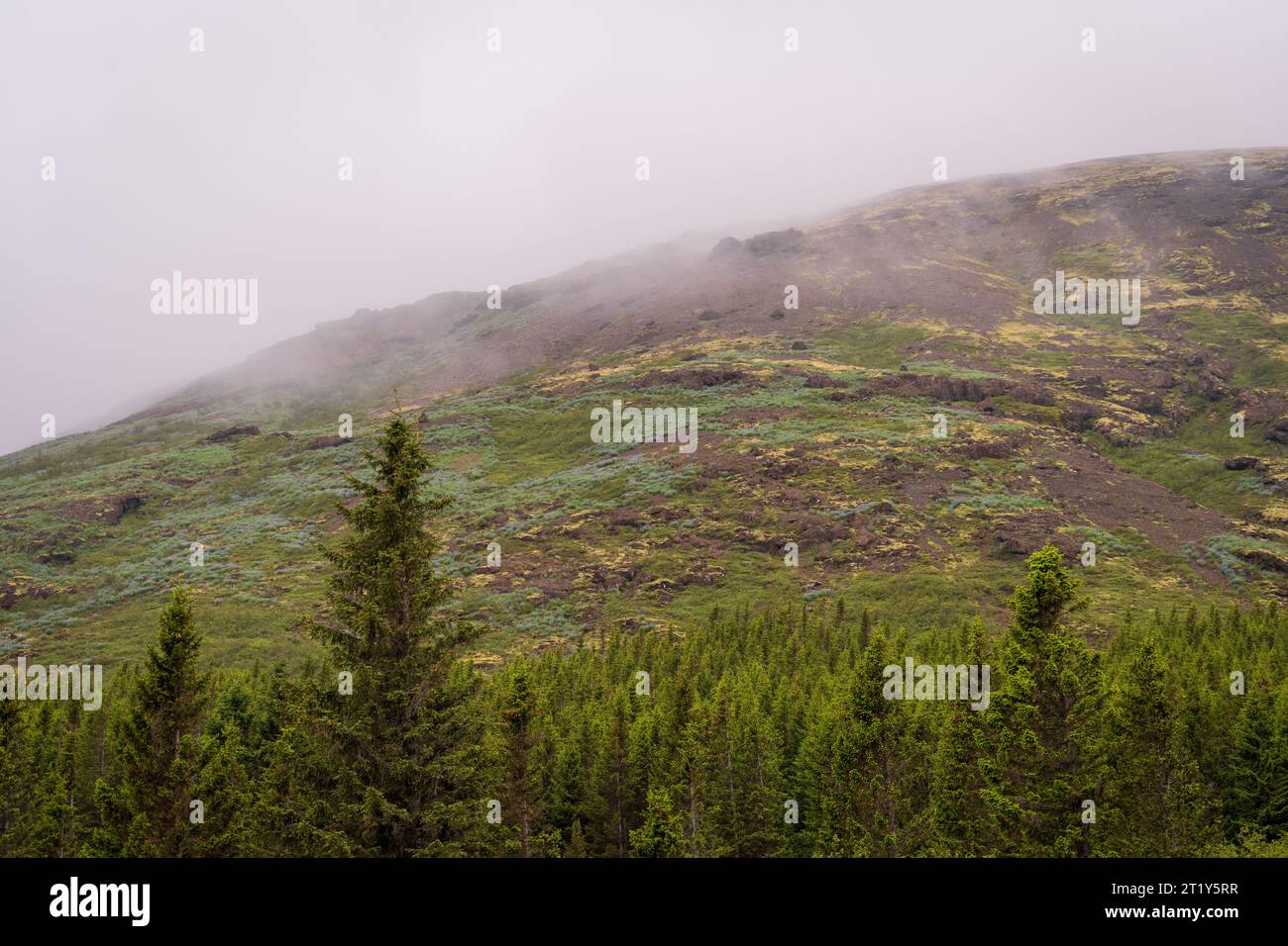 The Famous Route 1 or the Ring Road in Iceland Stock Photo - Alamy