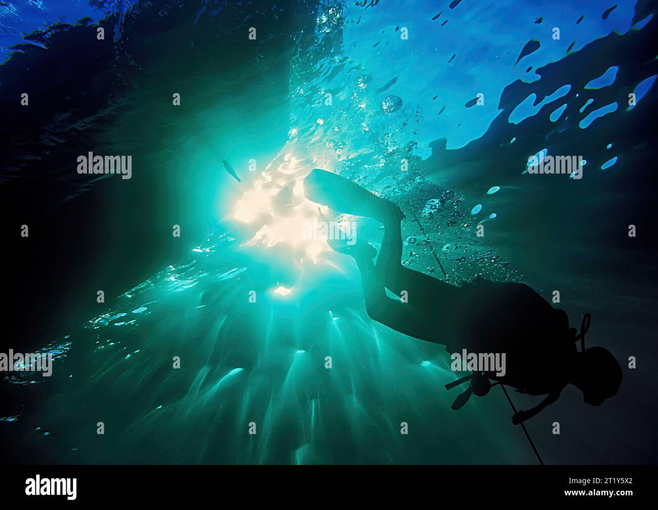 Exploring depths ocean journey marine hi-res stock photography and images - Alamy