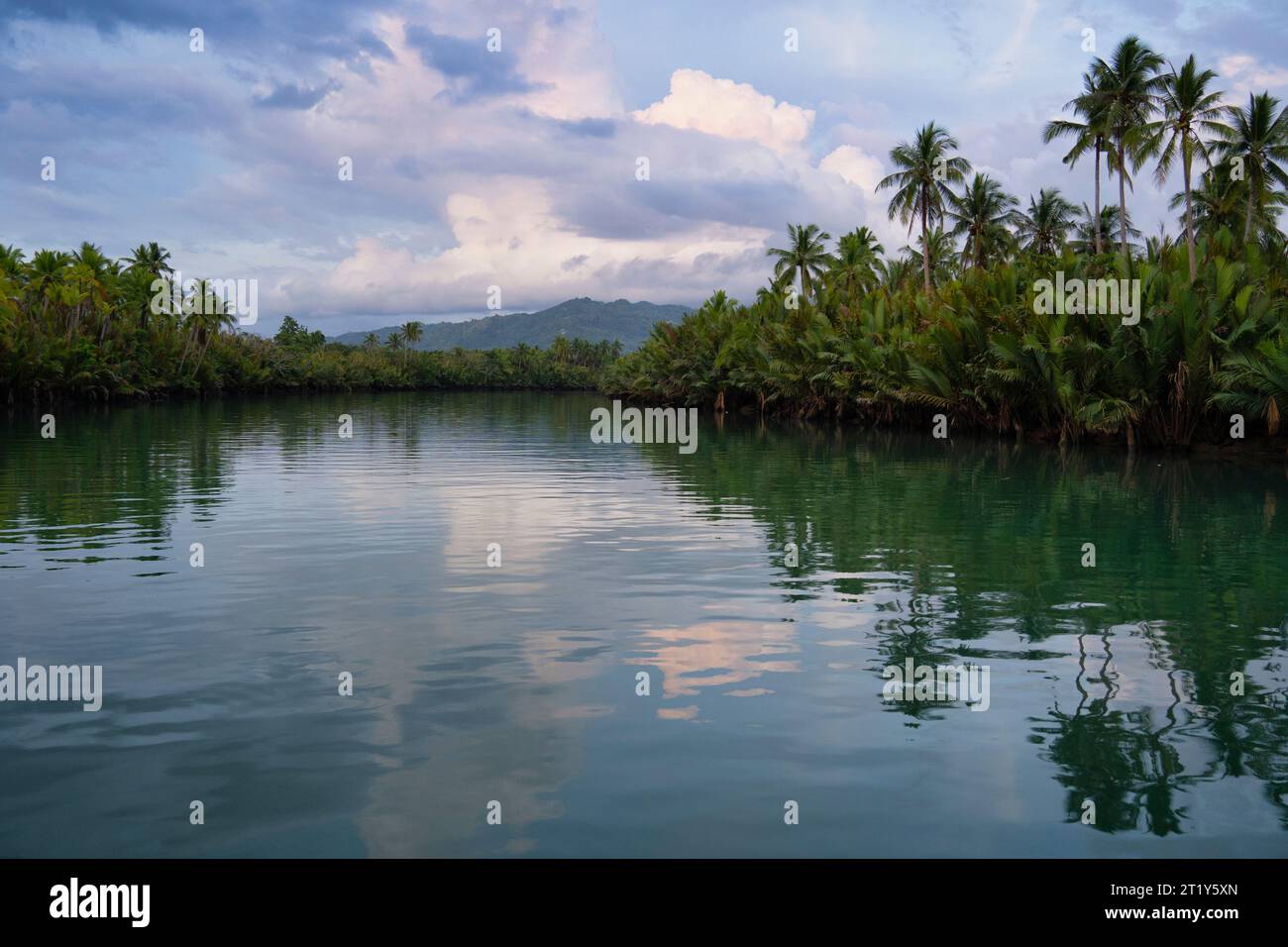 View of the Loboc river, in bohol island, with luxury vegetacion at ...