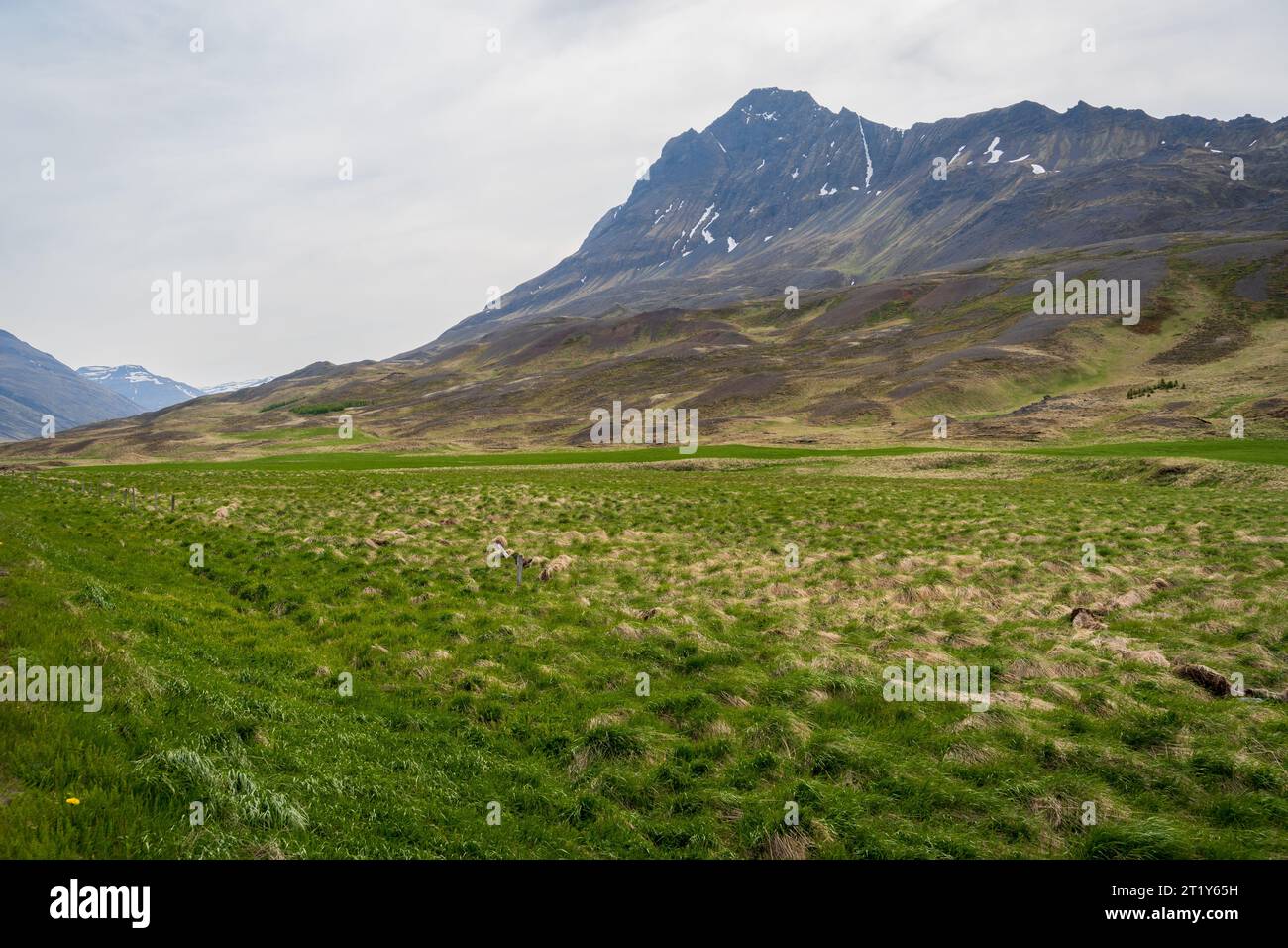 The Famous Route 1 or the Ring Road in Iceland Stock Photo - Alamy