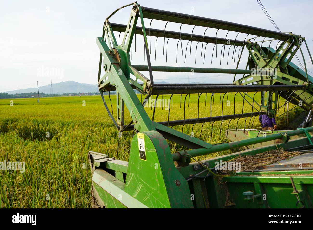 Automatic rice harvester machine is being used to harvest the fields ... Automatic rice harvester machine is being used to harvest the fields ...