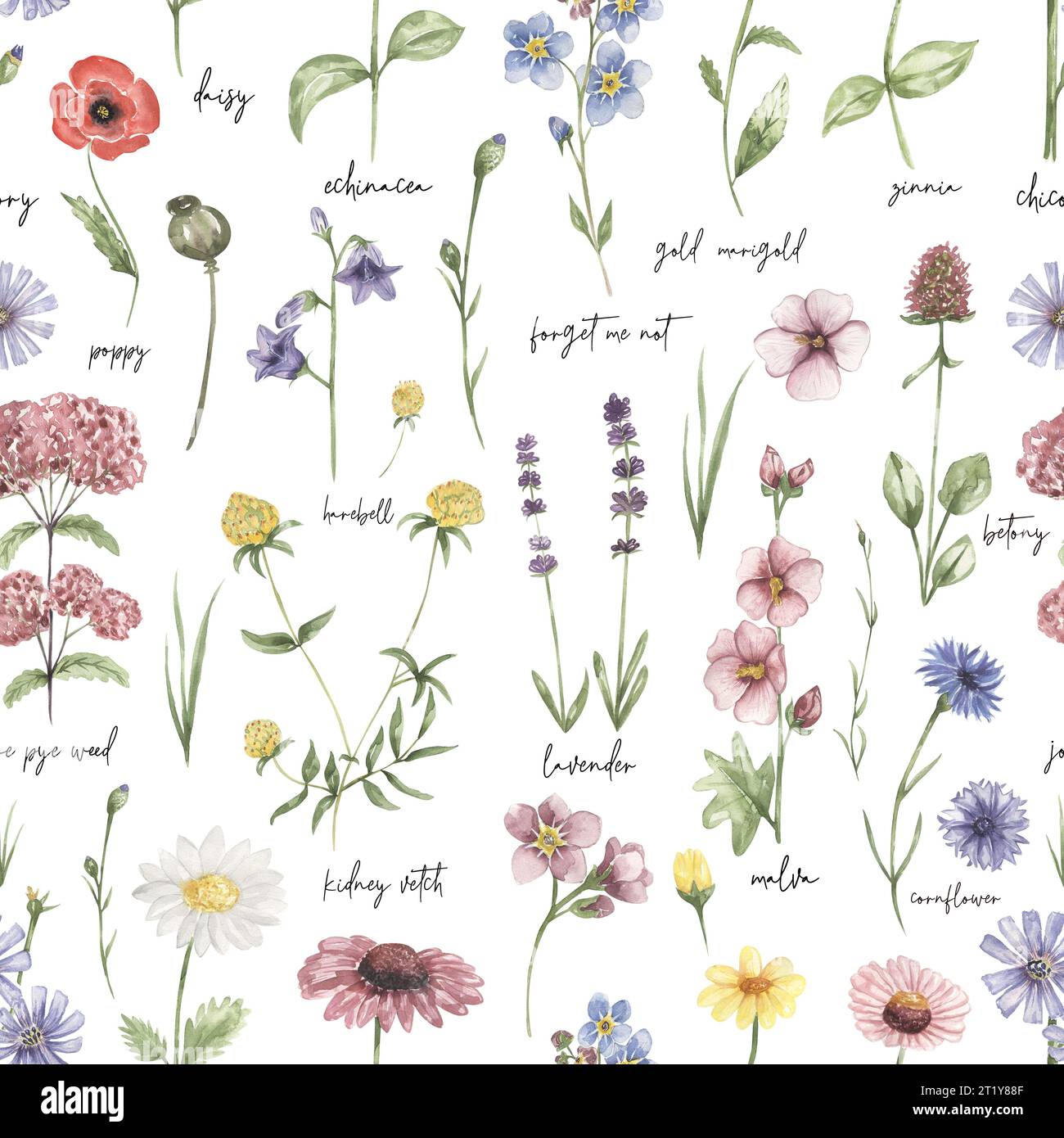 Watercolor Wildflowers seamless pattern, meadow florals repeat paper ...