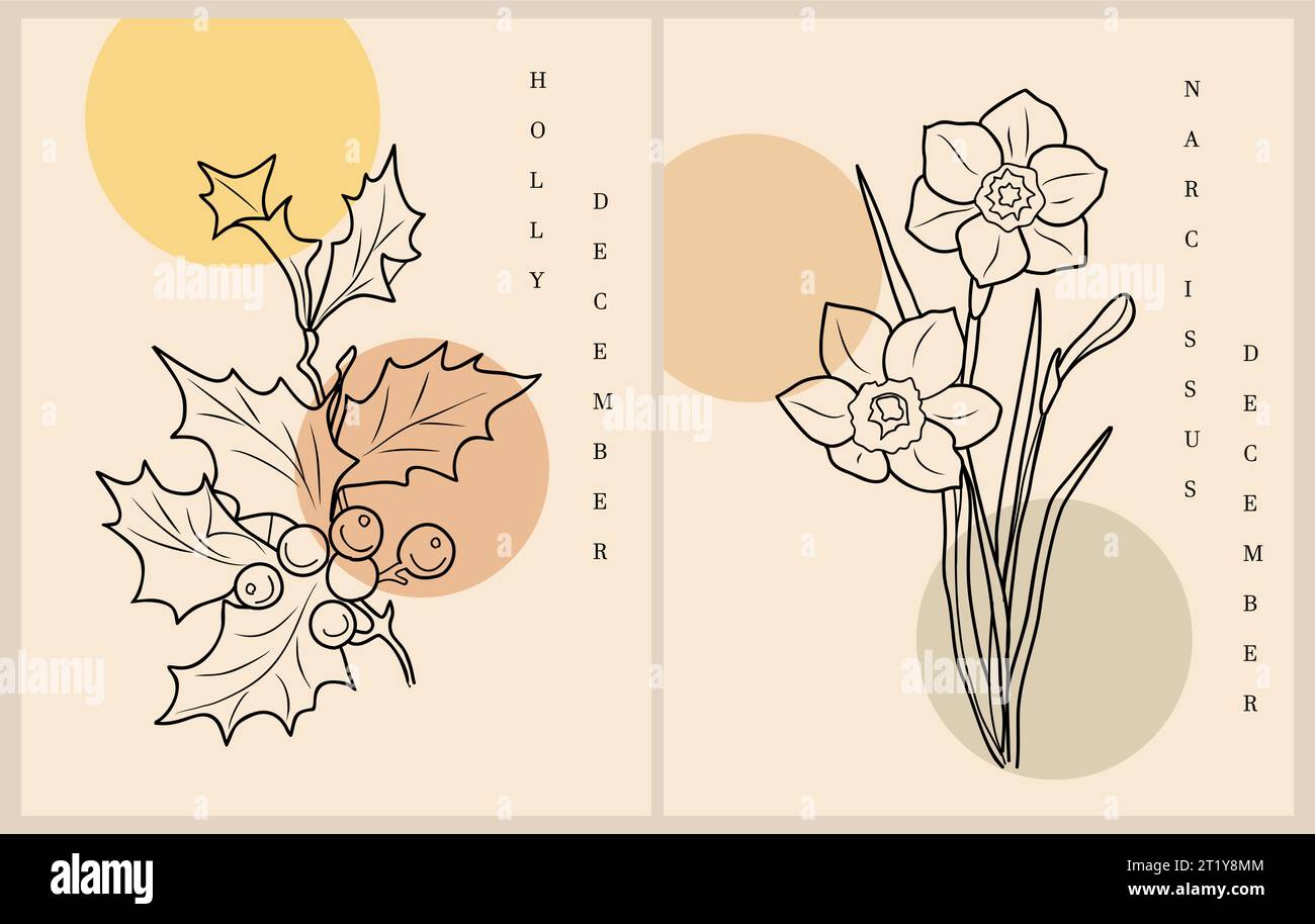 December birth month flowers botanical wall arts Stock Vector Image ...