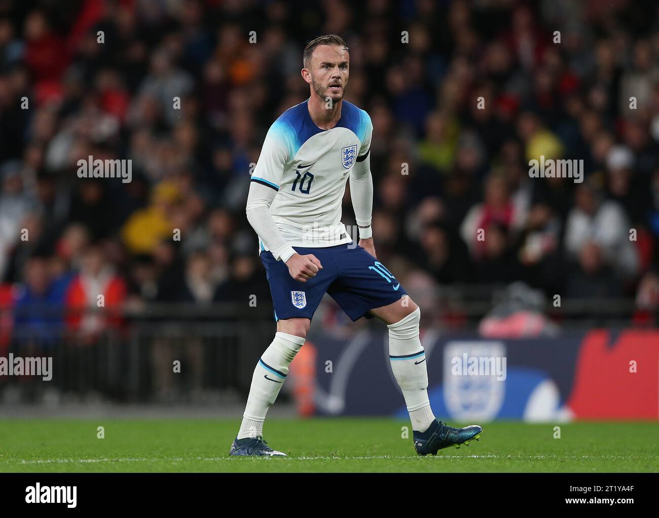 James Maddison of England & Tottenham Hotspur. - England v Australia ...