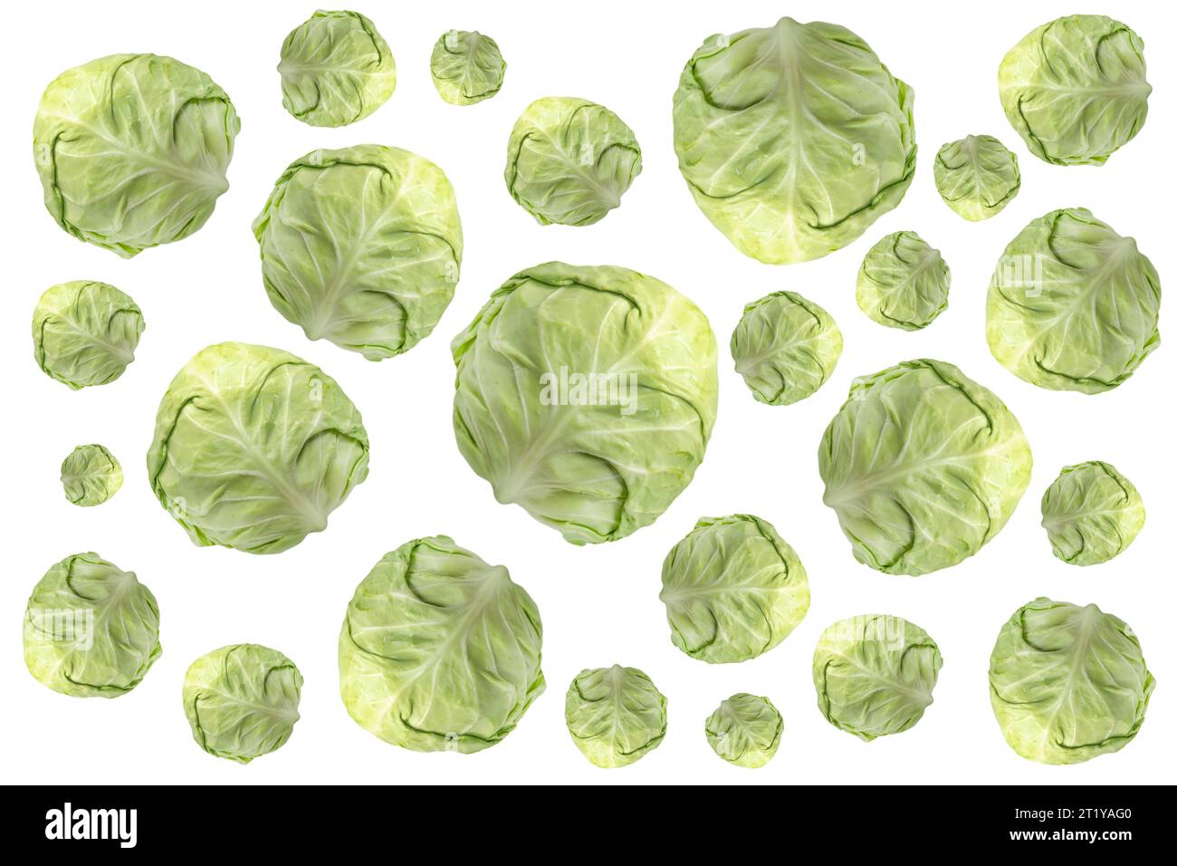 Cabbage head isolated on white background. A ripe whole cabbage pattern ...