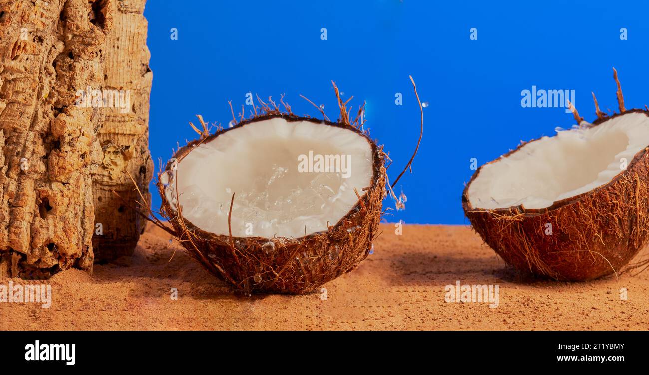 Coconut that has split in half resting on the sand next to a tree Stock ...