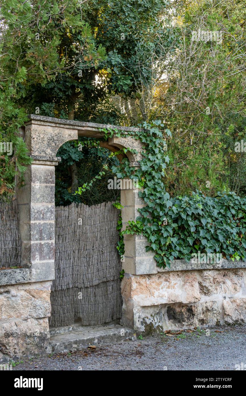 Old stone and ivy entrance arch of a house in the interior of the ...