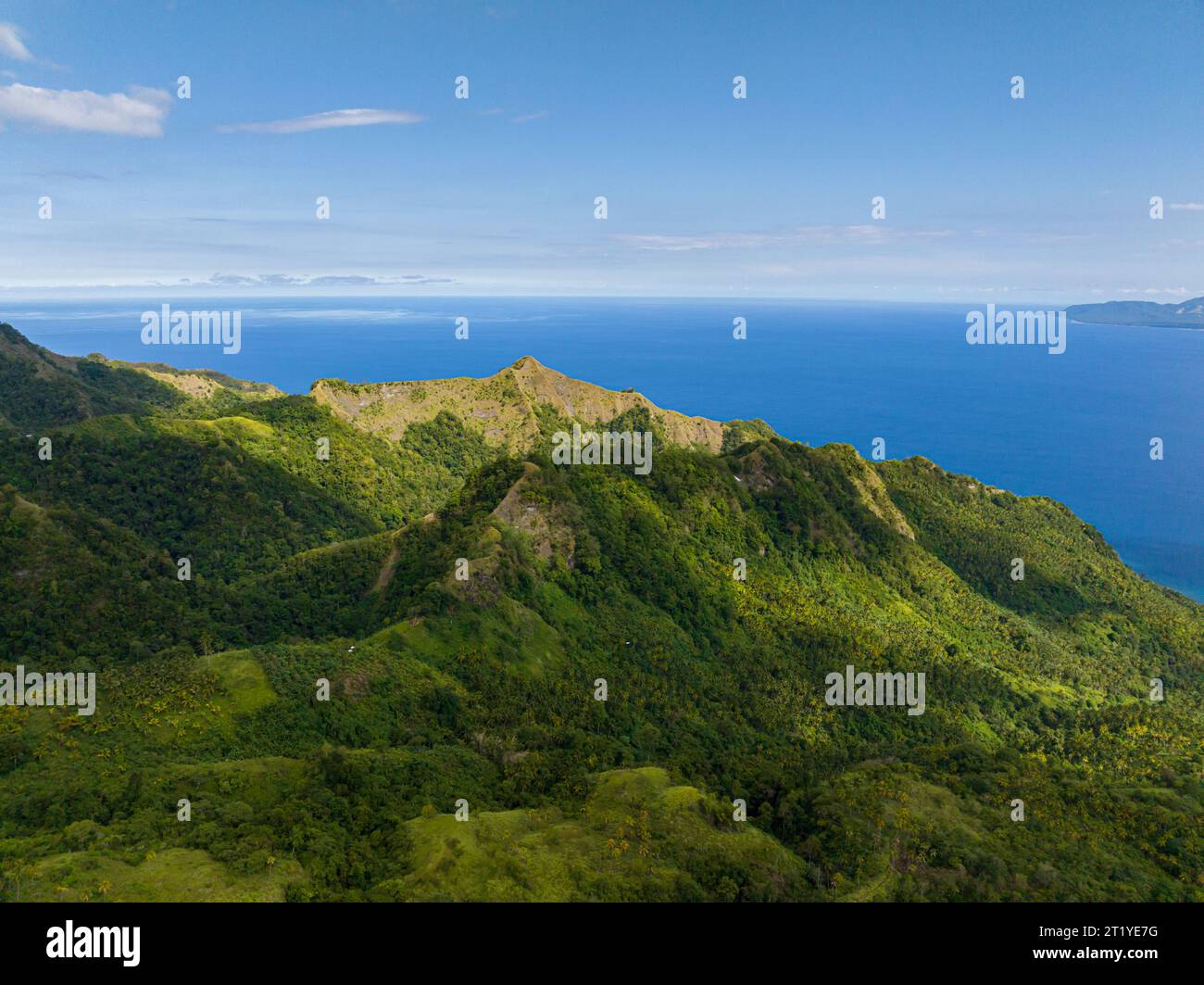 Beautiful coral reef under calm hi-res stock photography and images - Alamy