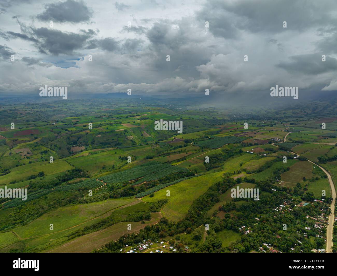 Farmland of rice fields and banana fruit plantation. Village of farmers ...