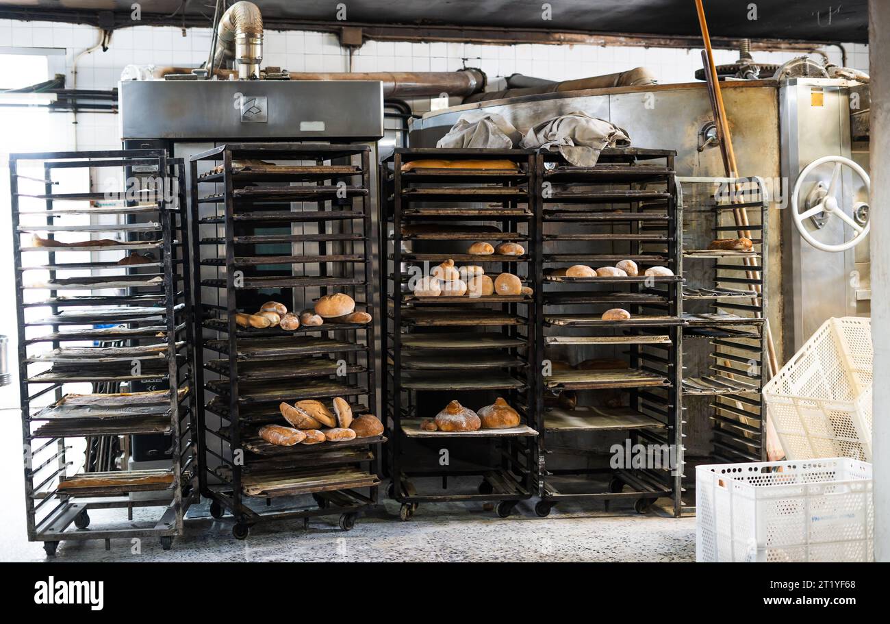 making bread in a local bakery Stock Photo - Alamy