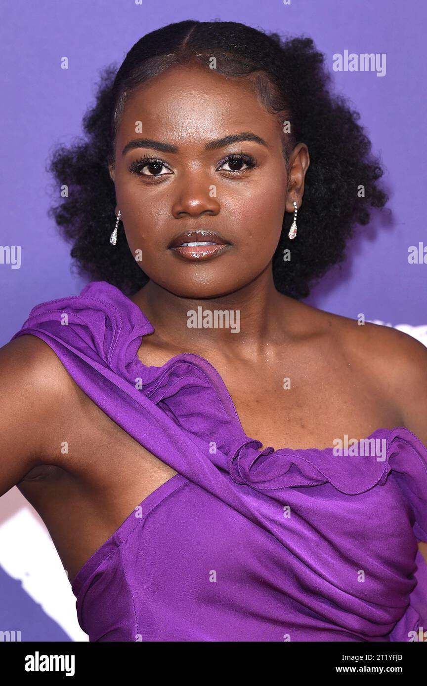 Sherrie Silver bei der Premiere des Kinofilms The Kitchen auf dem 67 ...