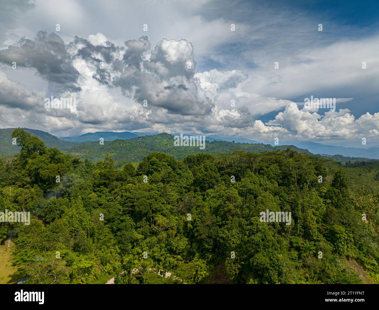 Mountain valley covered with green forest and woodland. Mindanao ...