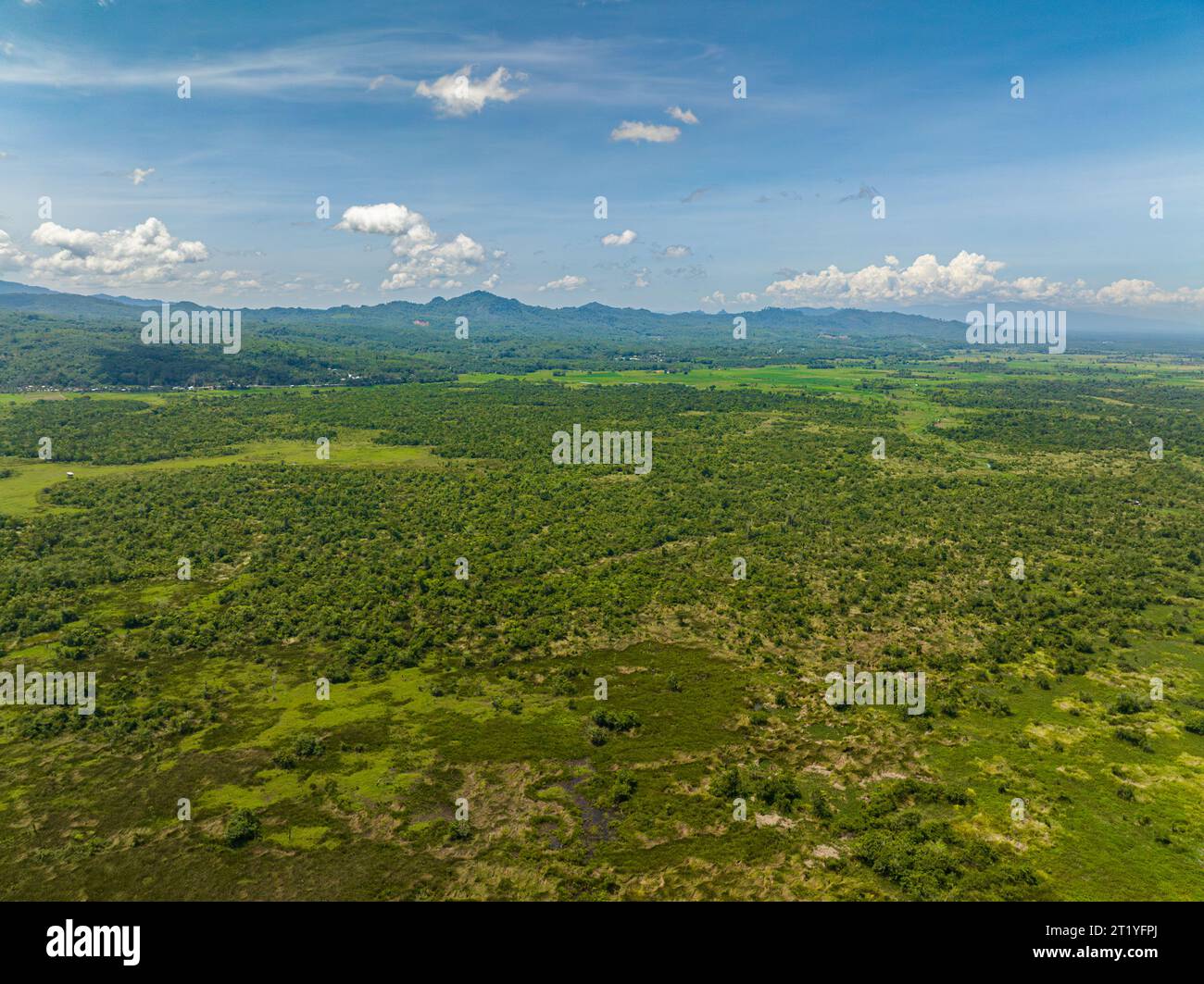 Lush vegetation and tropical forest. Blue sky and clouds. Mindanao ...