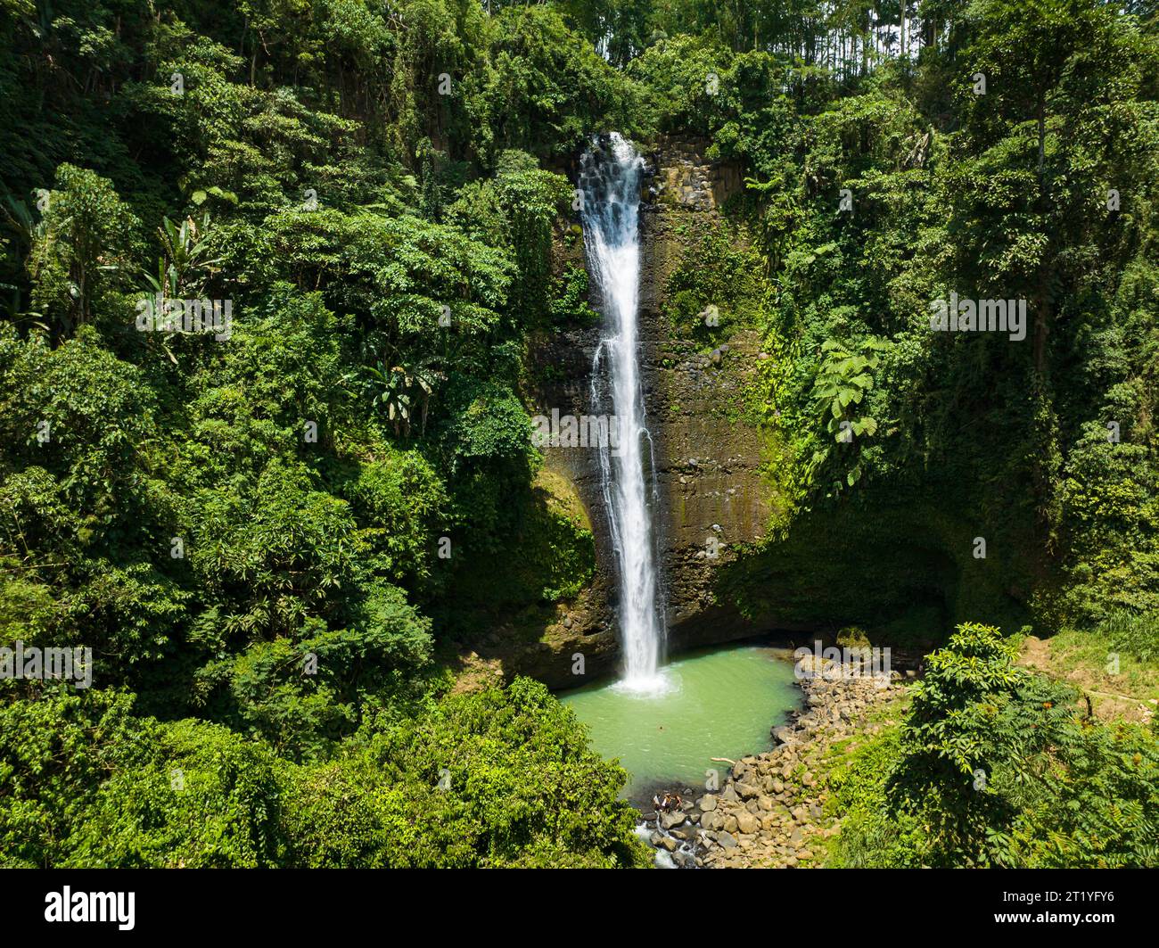 Alalum Falls with green plunge pool surrounded by lush vegetation ...