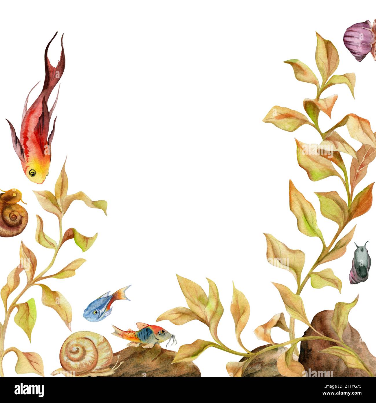 Hand drawn watercolor aquarium fish, algae and sealife. Marine exotic ...