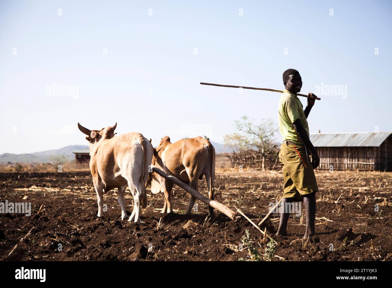 African farm with hut hi-res stock photography and images - Alamy