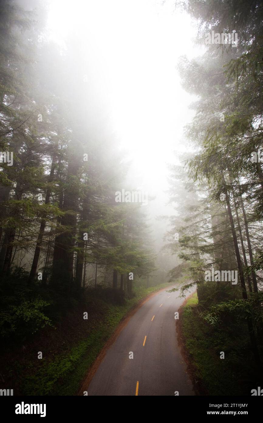 Windy road through fog hi-res stock photography and images - Alamy