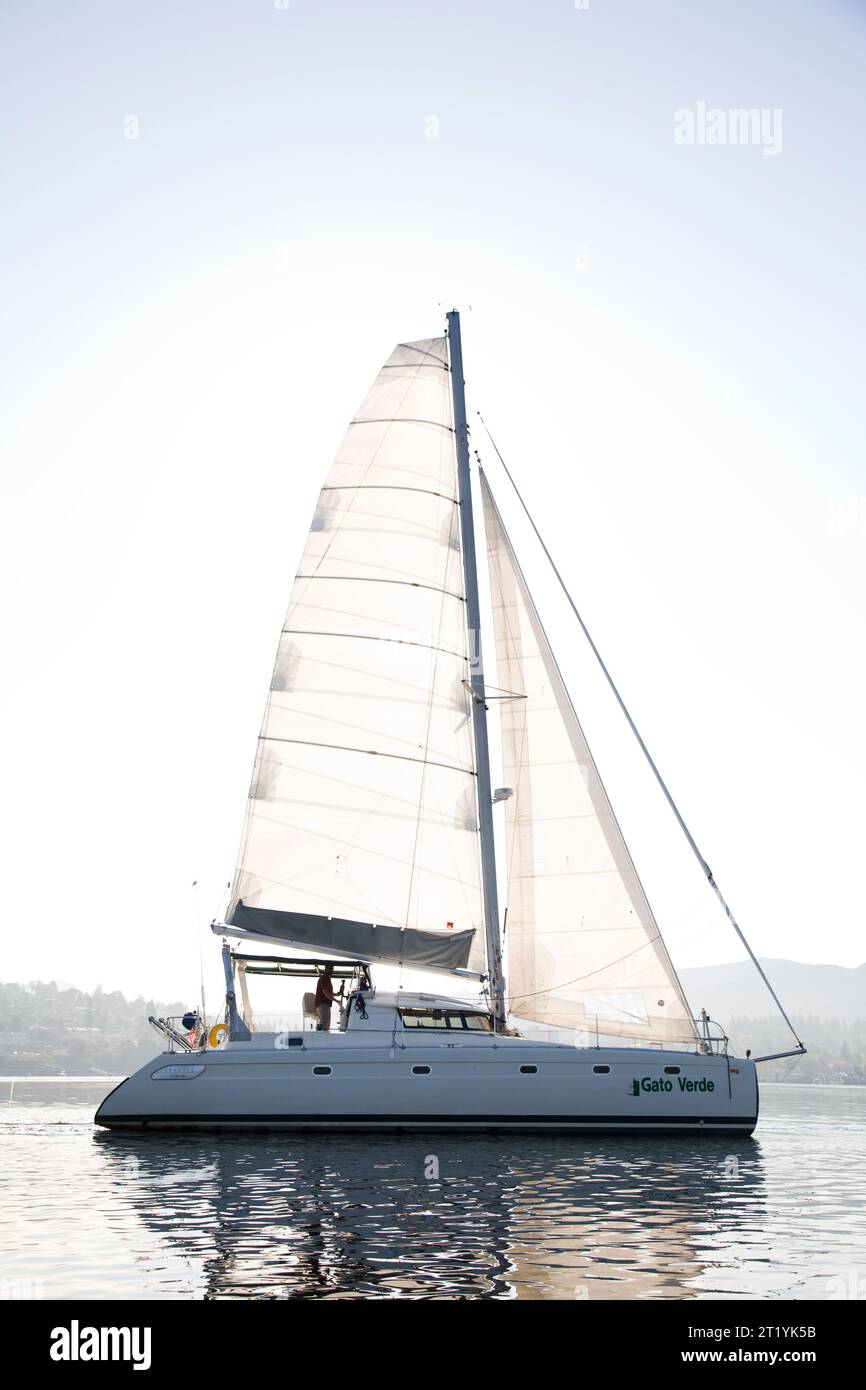 A catamaran floats on calm waters under a bright, sunny sky Stock Photo ...