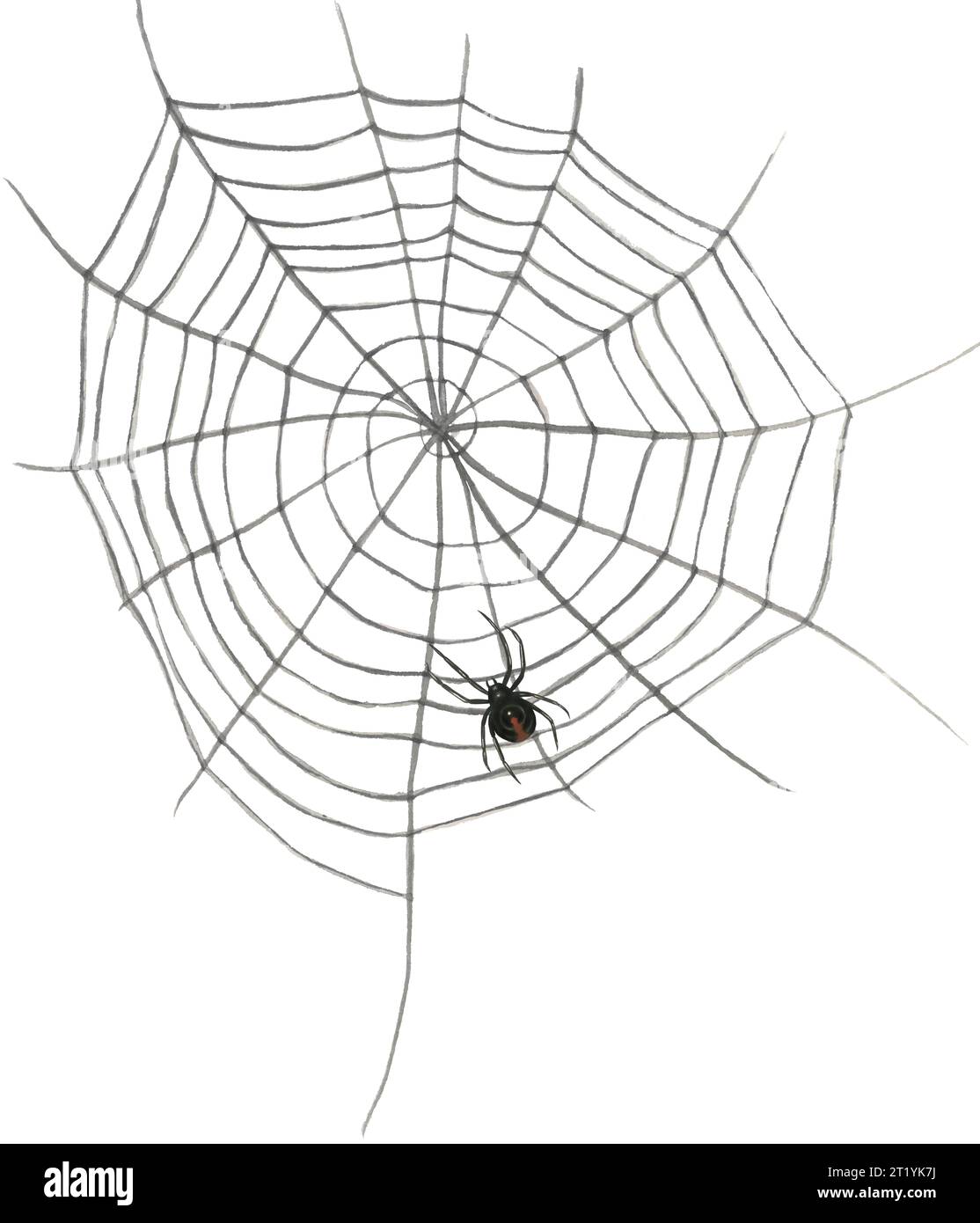 Watercolor composition of spider and web, hand drawn, isolated on white ...