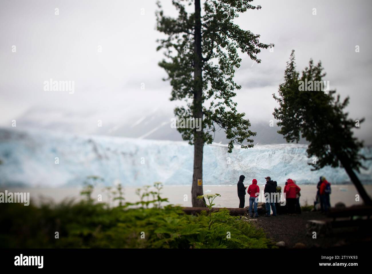 Group tourists looking majestic hi-res stock photography and images - Alamy