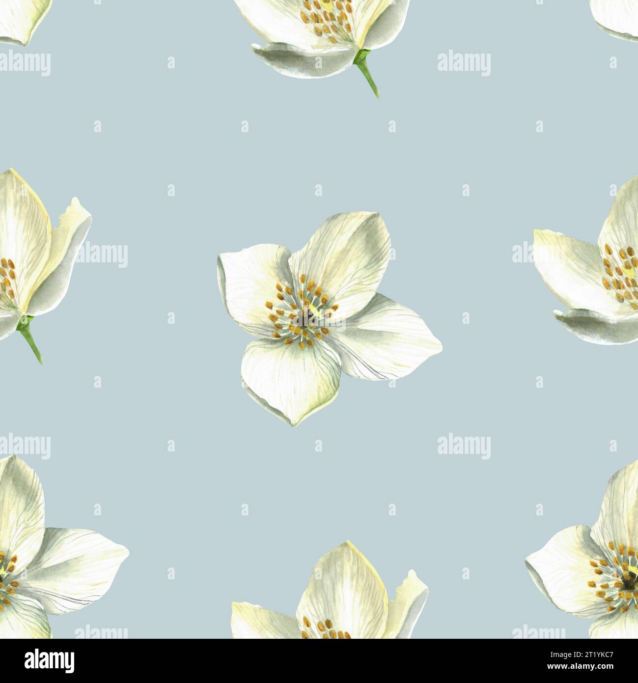 Watercolor illustration of jasmine - seamless pattern for souvenirs and ...