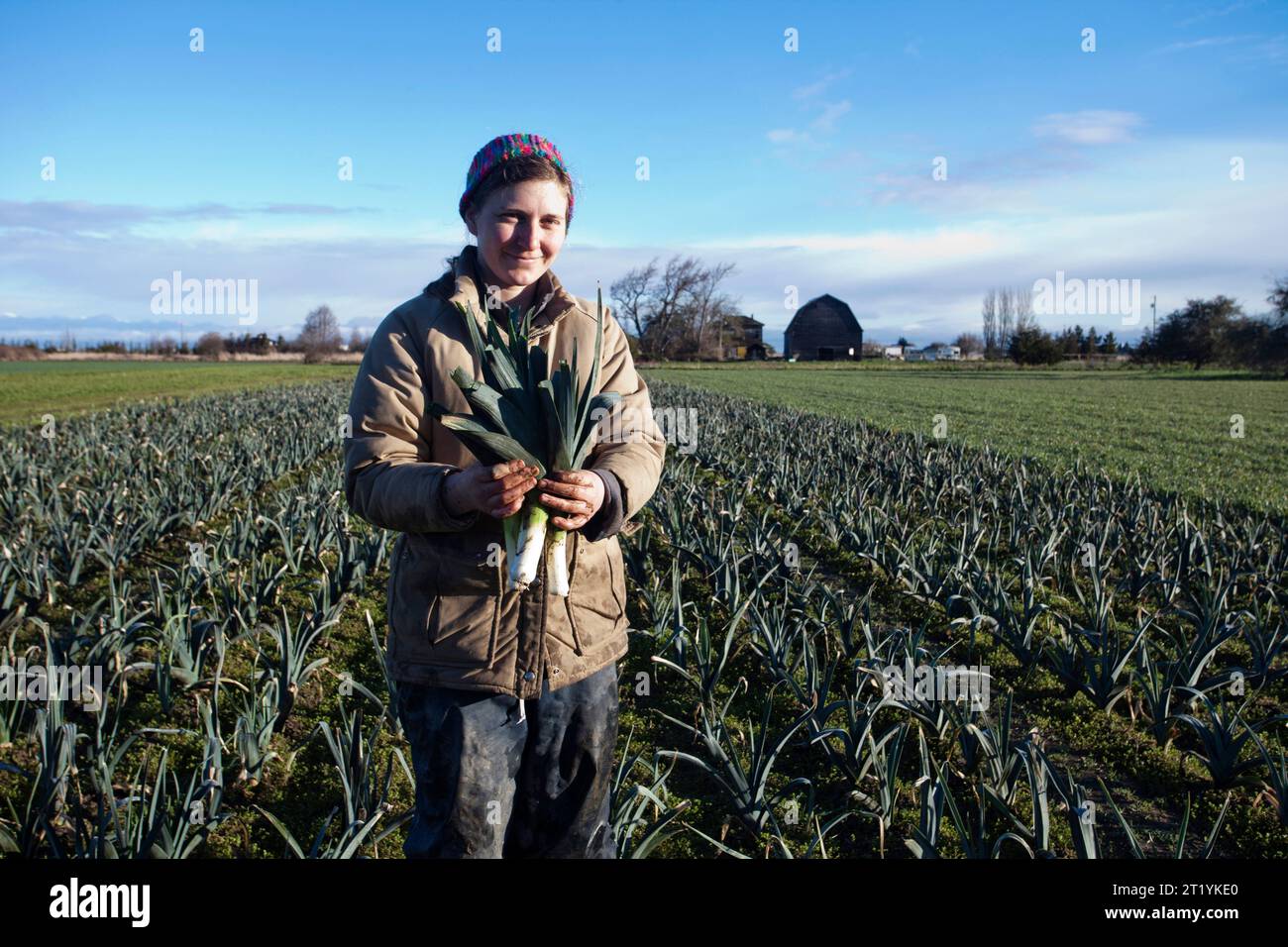 Sequim farm scene hi-res stock photography and images - Alamy